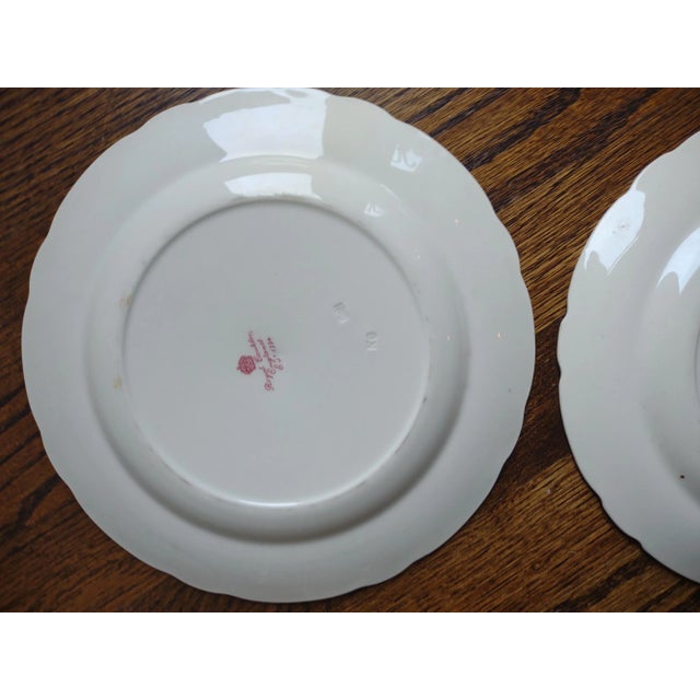 Early 20th Century Royal Cauldon Plates- Set of 4 | Chairish