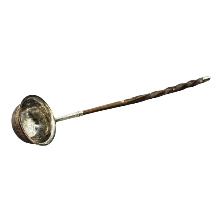 Small Toddy Ladle With Sterling and Twisted Baleen Handle | Chairish