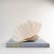 Large Sea Shell Vessel | Chairish