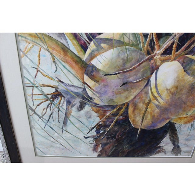 Vintage Barbara Shipman Watercolor Painting "Lots of Coconuts" | Chairish