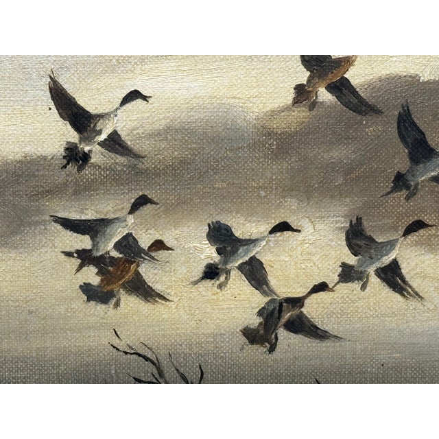 Mid Century Oil Painting Canadian Ducks Pintails Flushed Out Duck Duck ...