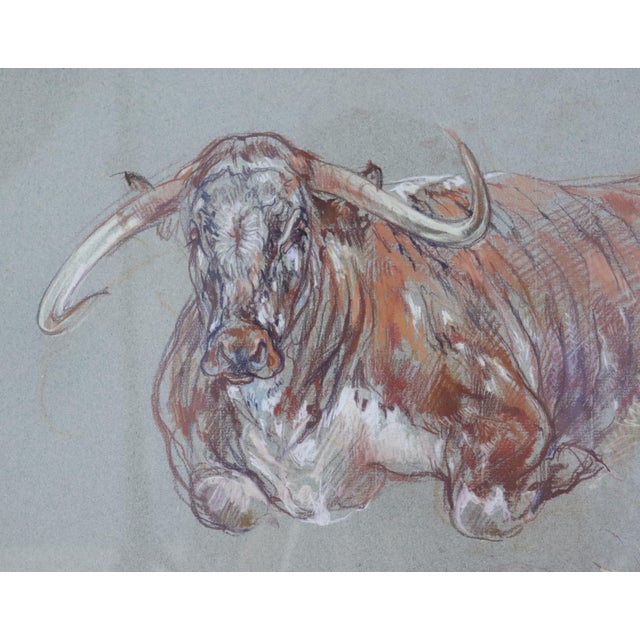 1990s Original English Cow Pastel & Charcoal Drawings by Leslie Charlotte Benenson- Set of 2 ...