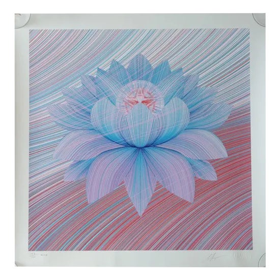 Shepard Fairey (Obey), Unity Flower, Screenprint | Chairish