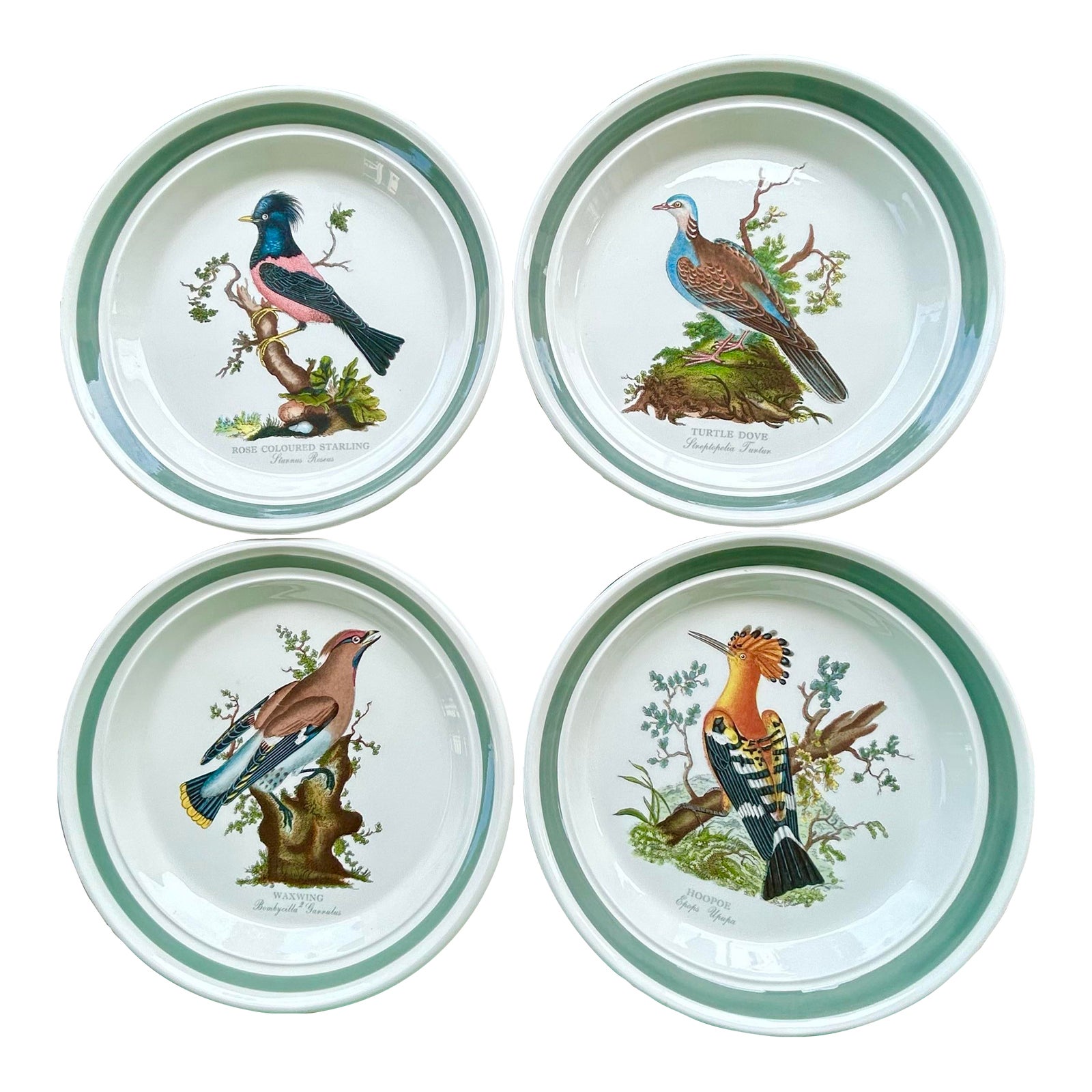 Portmeirion Birds of Britain Vintage Collection - Rare - Green Banded ...