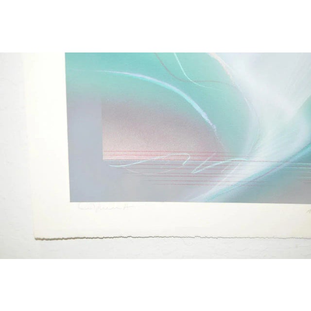 David Quinn "Dolphin A" Contemporary Abstract Lithograph | Chairish