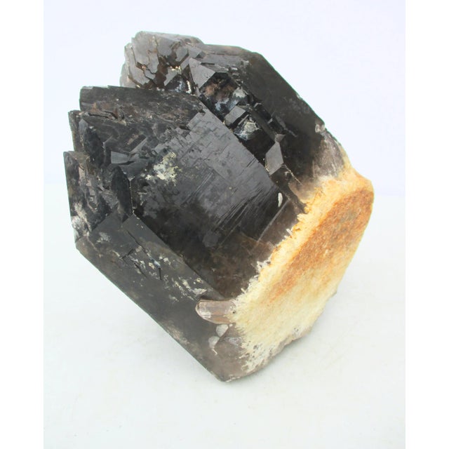 Mineral Specimen Black Quartz Crystal | Chairish