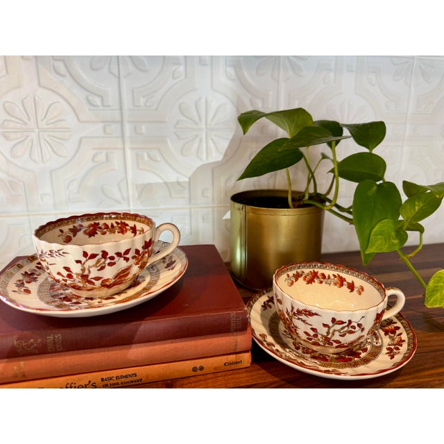 1950s Spode “Indian Tree” Tea Cups & Saucers – Set of 2 | Chairish