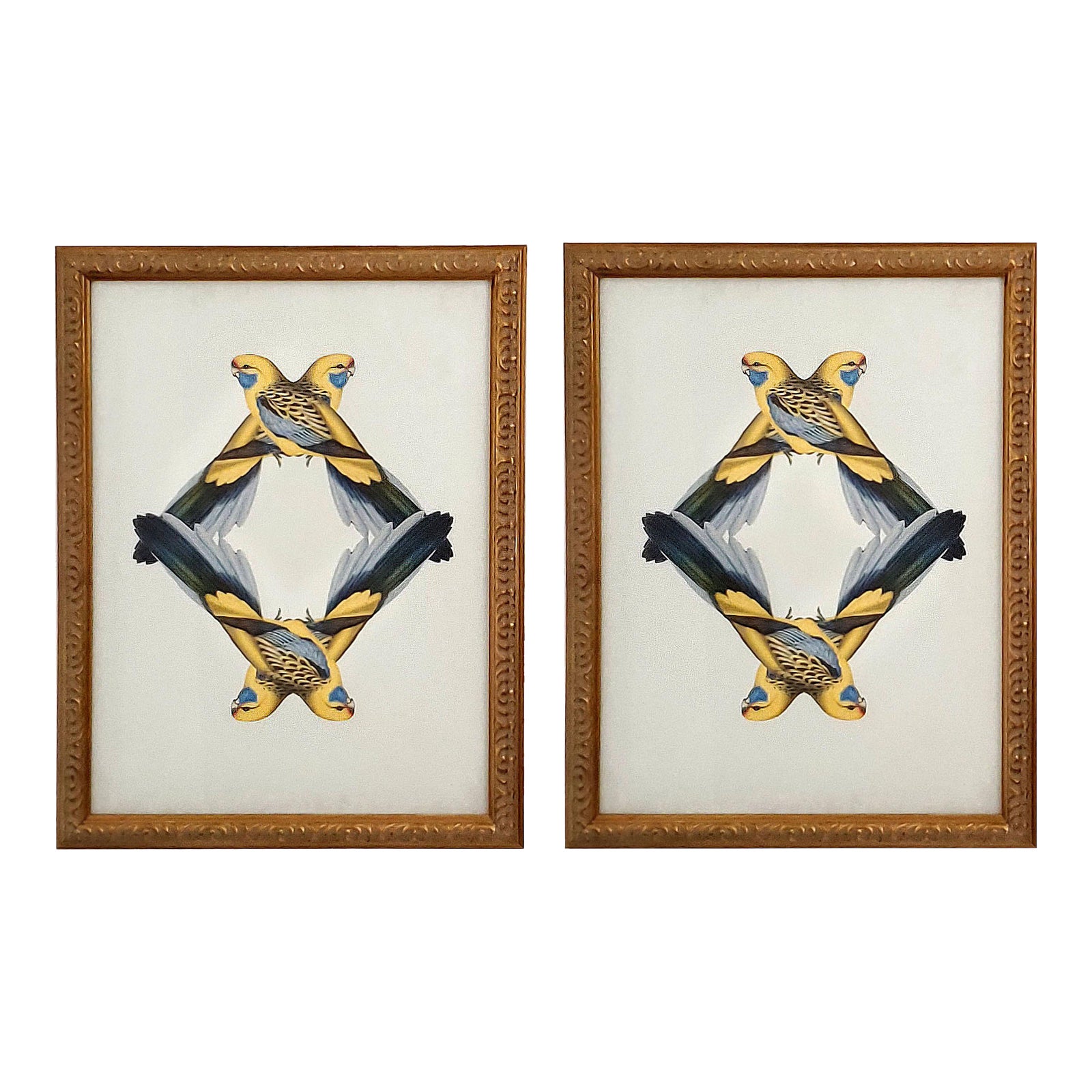 Bird Prints of Parrots by Rosenstiels - A Pair | Chairish