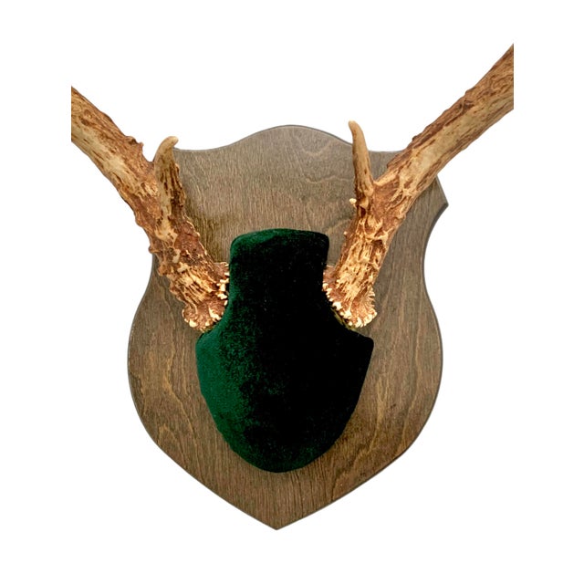 Late 20th Century Deer Antler Eight Point Horn With Green Velvet Cover ...