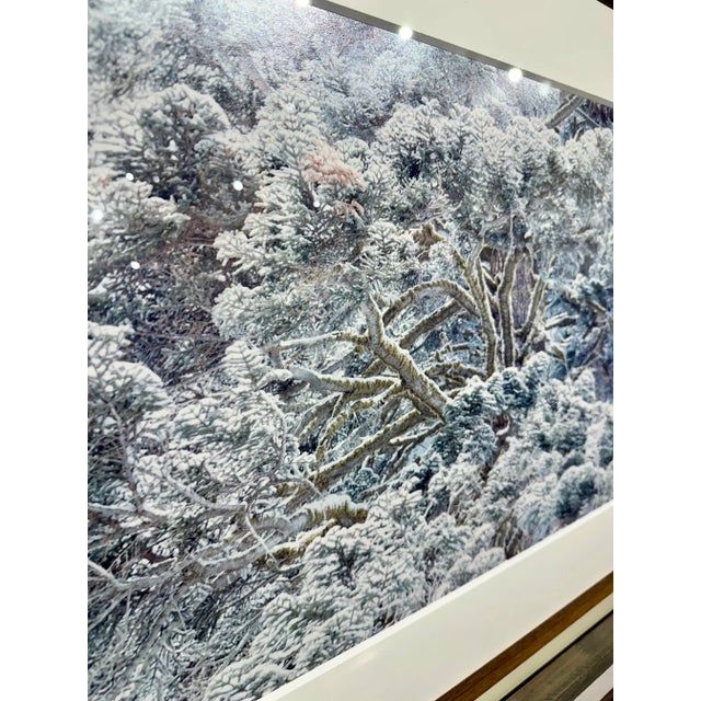 Winter, 1966 by Ernst Hass, Original Signed Photograph | Chairish