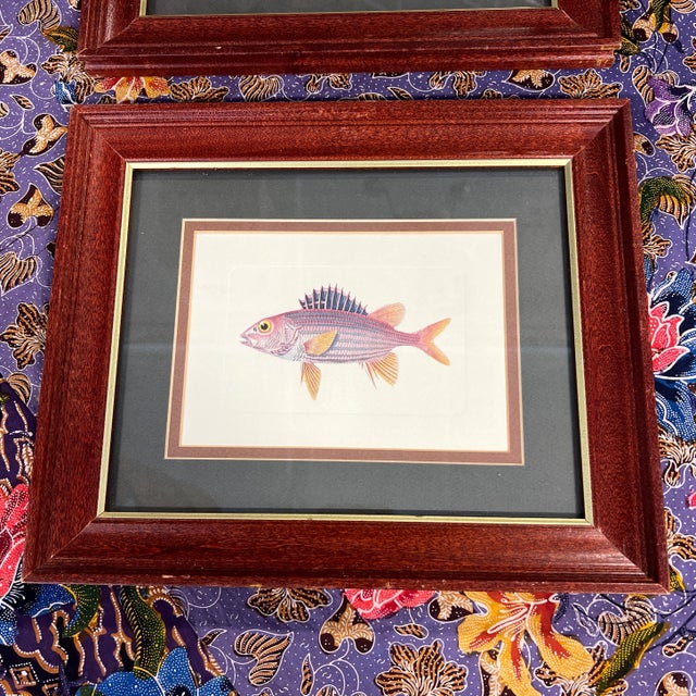 Vintage Pair of Framed Fish Prints | Chairish