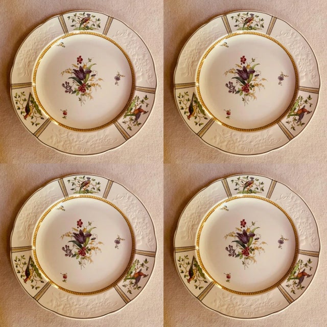 Antique Spode Fine English Bone China Dinner Plates- Set of 4 | Chairish