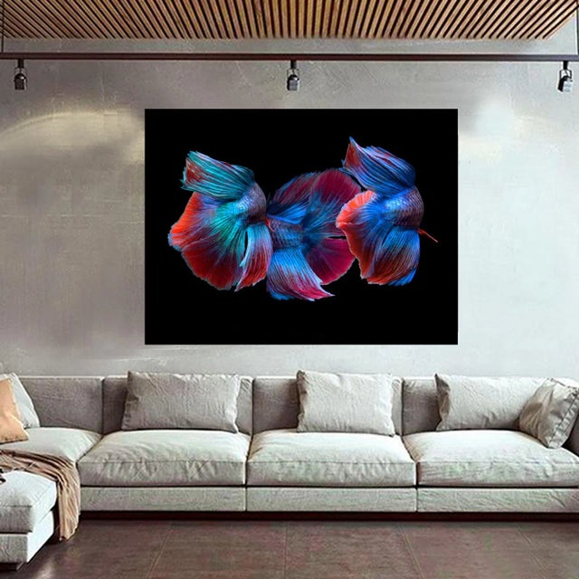 Betta Collage 44 Photograph | Chairish