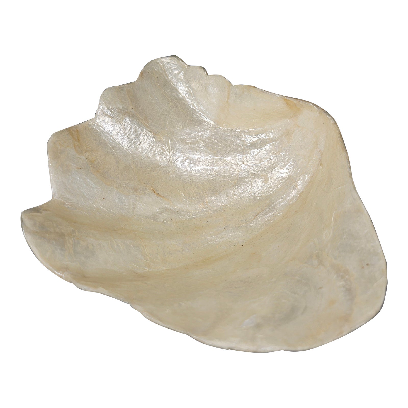 Vintage Capiz Shell Bowl | Chairish