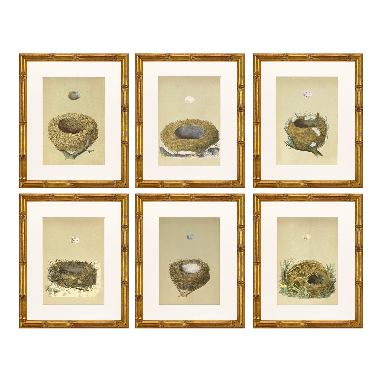 19th C. Francis Morris Bird Nest Woodblock Prints, c.1875 - Set of 6 ...