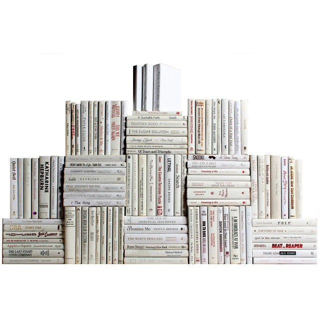 Modern Snowfall Book Wall - 100 Books | Chairish