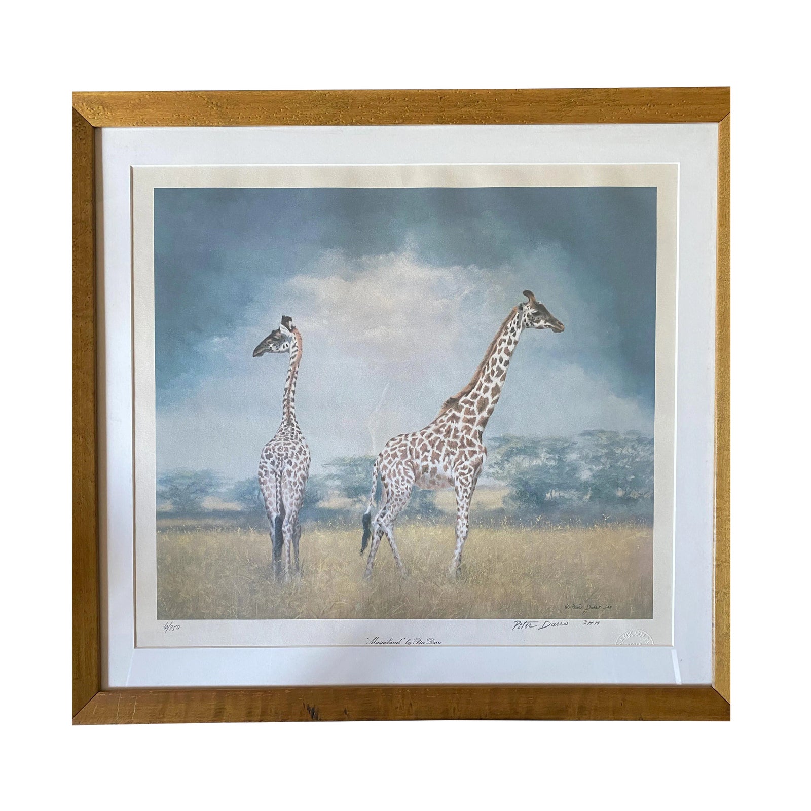 Signed and Numbered Peter Darro "Masailand" Lithograph of Giraffes on ...
