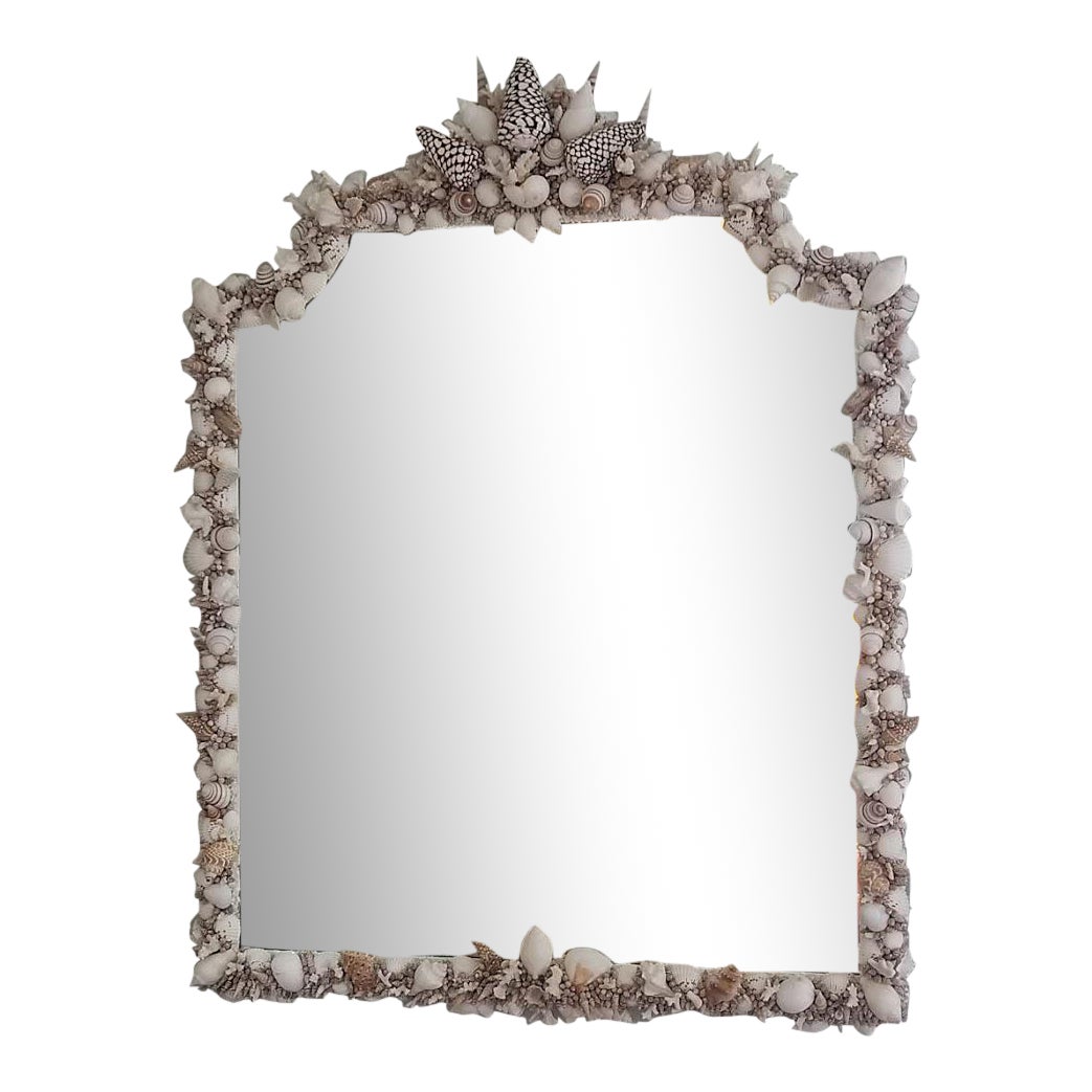 Handmade Natural Sea Shell Encrusted Wall Mirror | Chairish