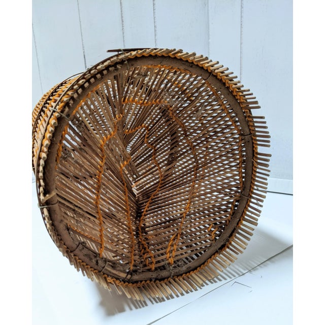 Antique Early 20th Century Large Woven Rattan Fish Trap | Chairish