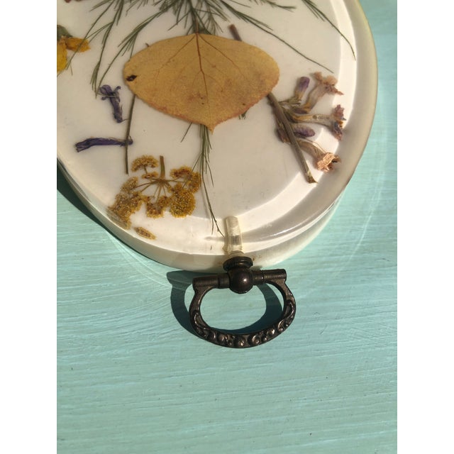 1970s Pressed Foliage Resin Art Autumn Leaves Wall Object | Chairish