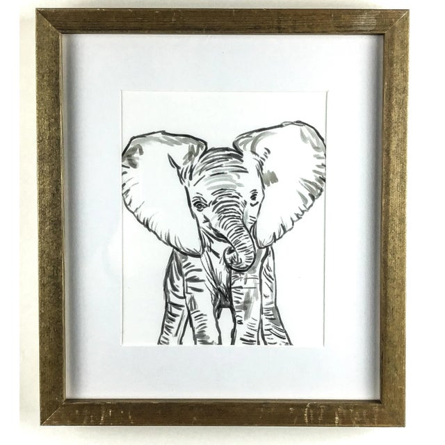 Wood Framed With Glass Zoo Animal Prints - a Pair | Chairish