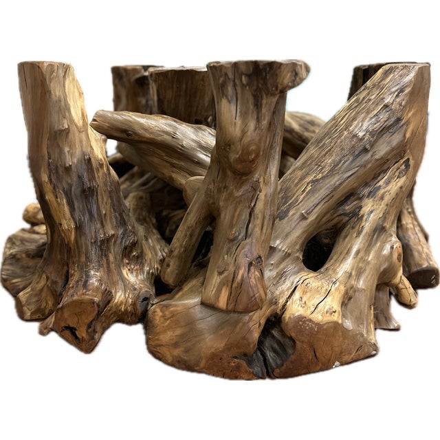 Organic Root Coffee Table Base | Chairish
