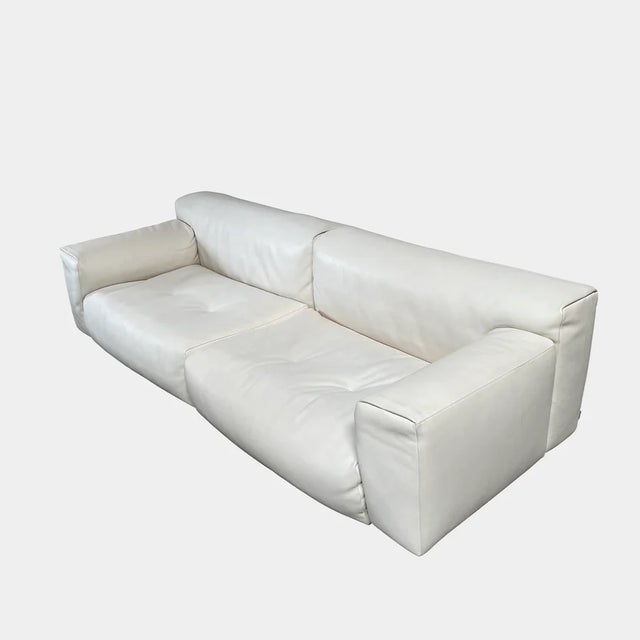 Living Divani Softwall Leather Sofa | Chairish