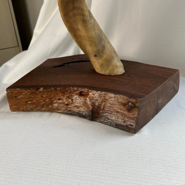 Mid 20th Century African Safari Style Kudu Horn and Wood Slab Drink ...