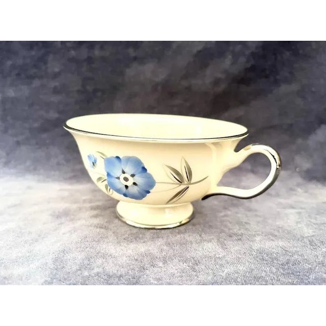 1950s Beatrice by Castleton China Dinnerware Set- 40 Pieces | Chairish