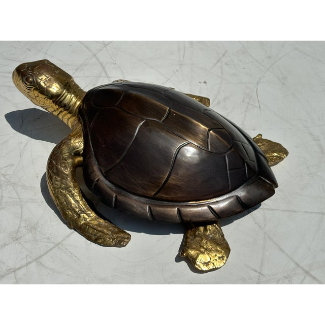 1970s Brass Hawksbill Sea Turtle Box | Chairish