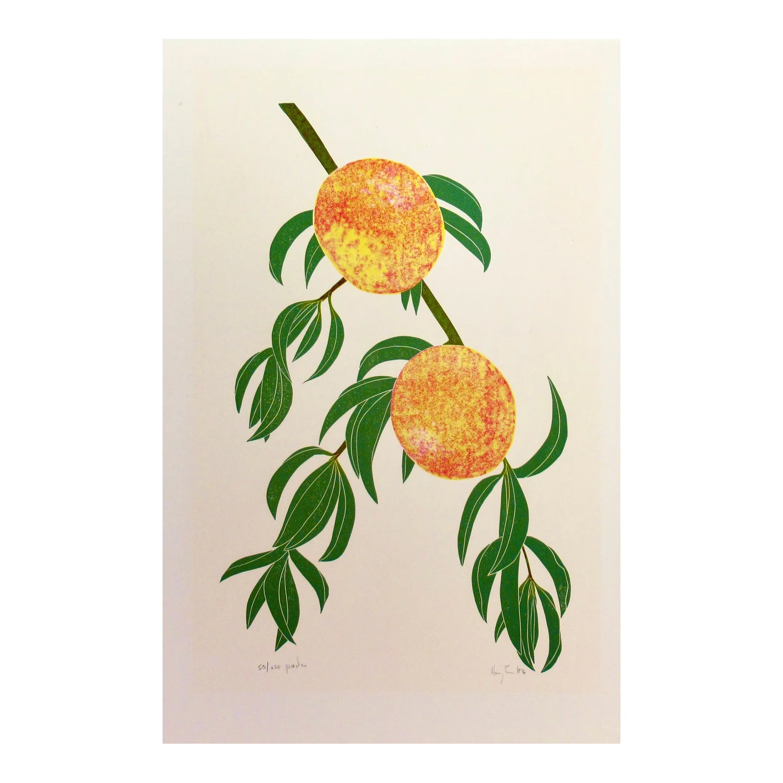 Henry Evans Peaches, 1976 | Chairish