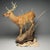 Life-Size Taxidermy Full Body Deer on Faux ConcreteBase, Barasingha ...