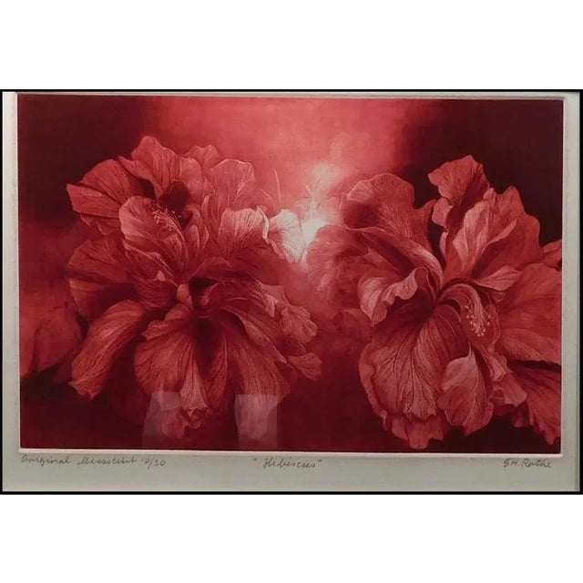 Vintage GH Rothe "Hibiscus" Flower Original Hand Signed Color Mezzotint ...