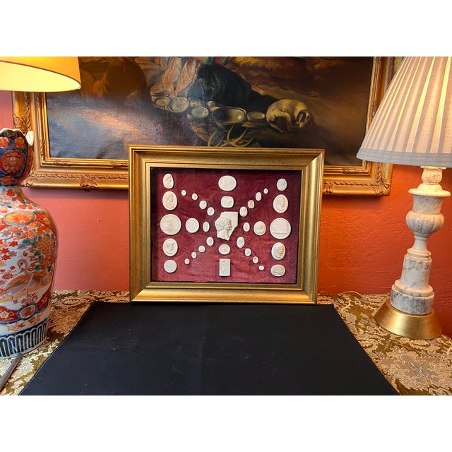 Large Framed Grand Tour Neoclassical Plaster Cast Intaglio Arrangement ...