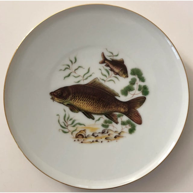 1930s Pre-Ww2 Decorative Fine Porcelain Fish Plates, Bavaria, Germany ...