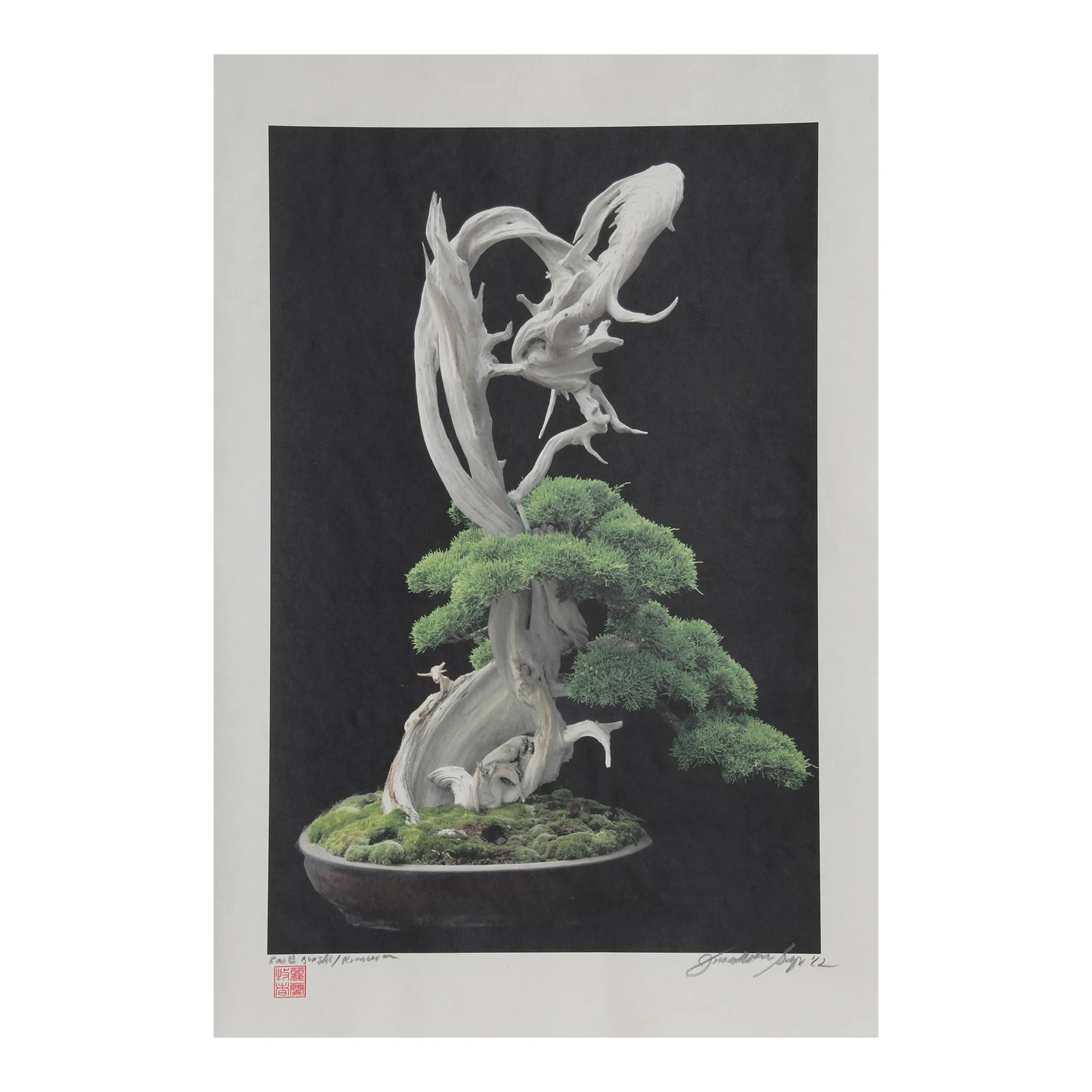 Bonsai R, Jonathan Singer, Photography | Chairish