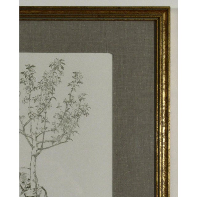 Helen Rayburn Caswell Apple Bloom, 1982 | Chairish