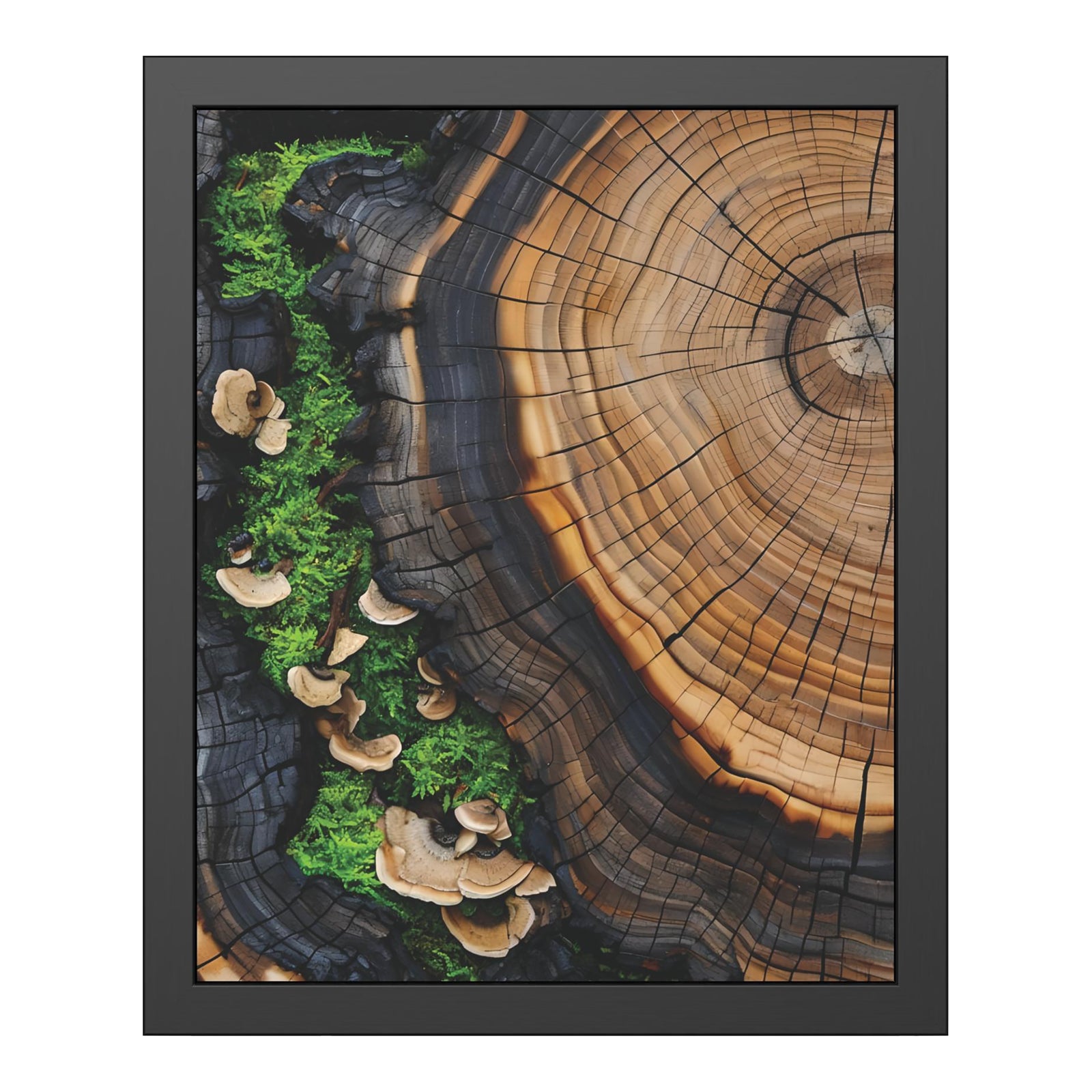 16 X 20 Burnt Wood Tree Ring Art Print With Moss & Turkey Tail ...