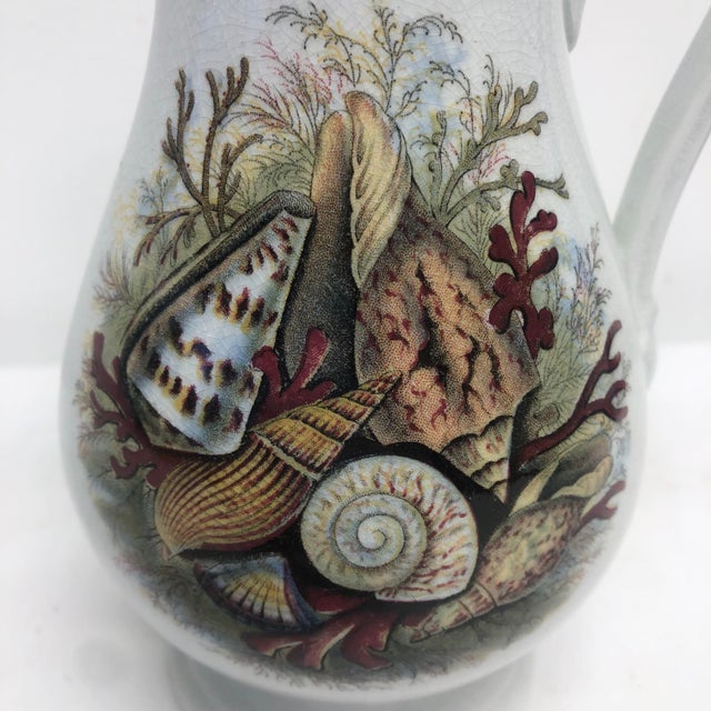 Antique 1860 Prattware Seashell & Seaweed Pitcher | Chairish