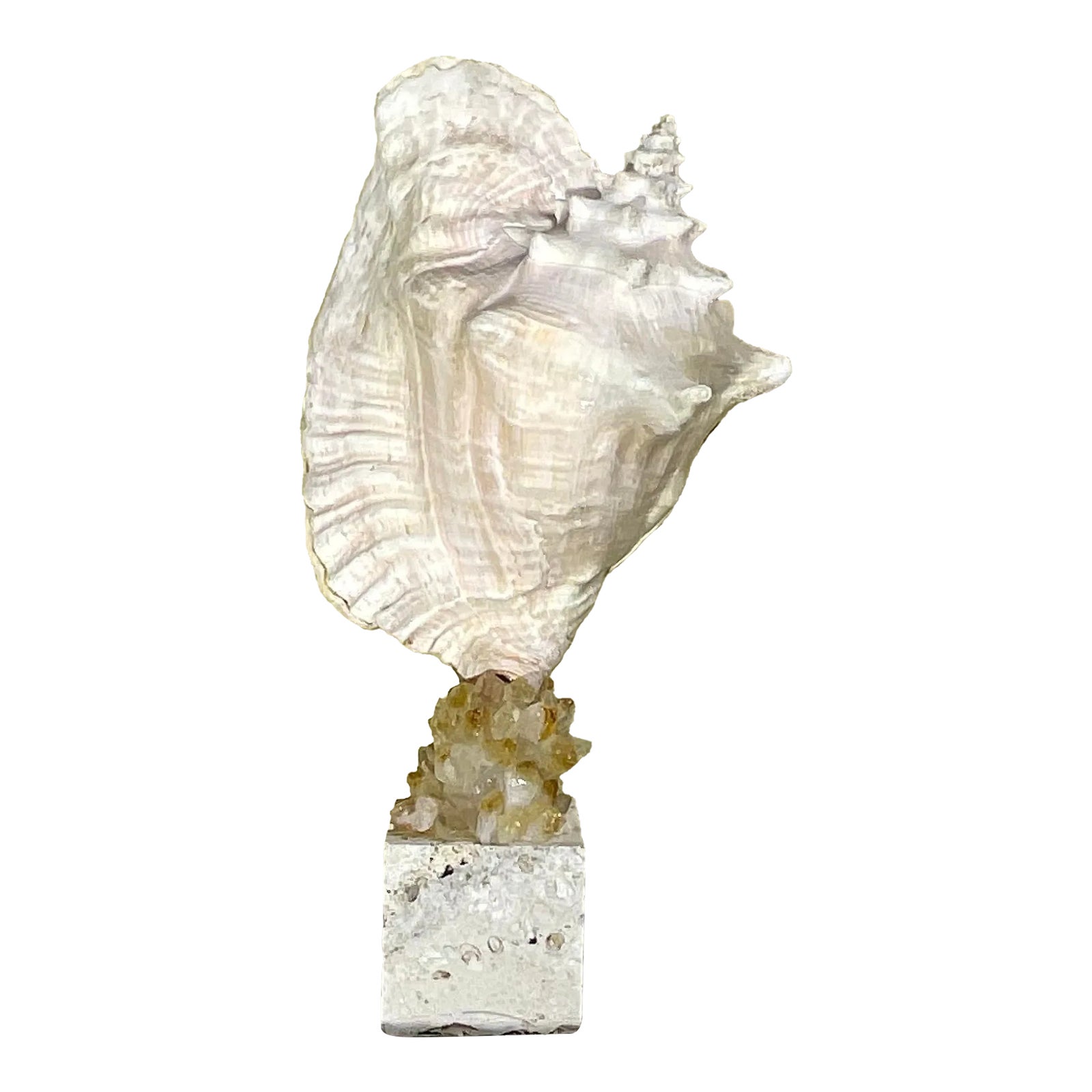 Seashell Sculpture “Seascape Symphony by Artist - Joseph Malekan | Chairish