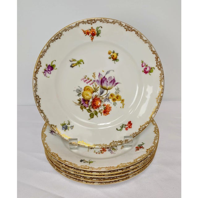 Vintage Saxe Austria Handpainted Salad Plates, Set of 6 | Chairish