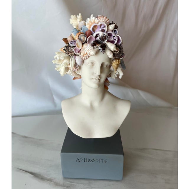 Christa's South Seashells Small Aphrodite Head | Chairish