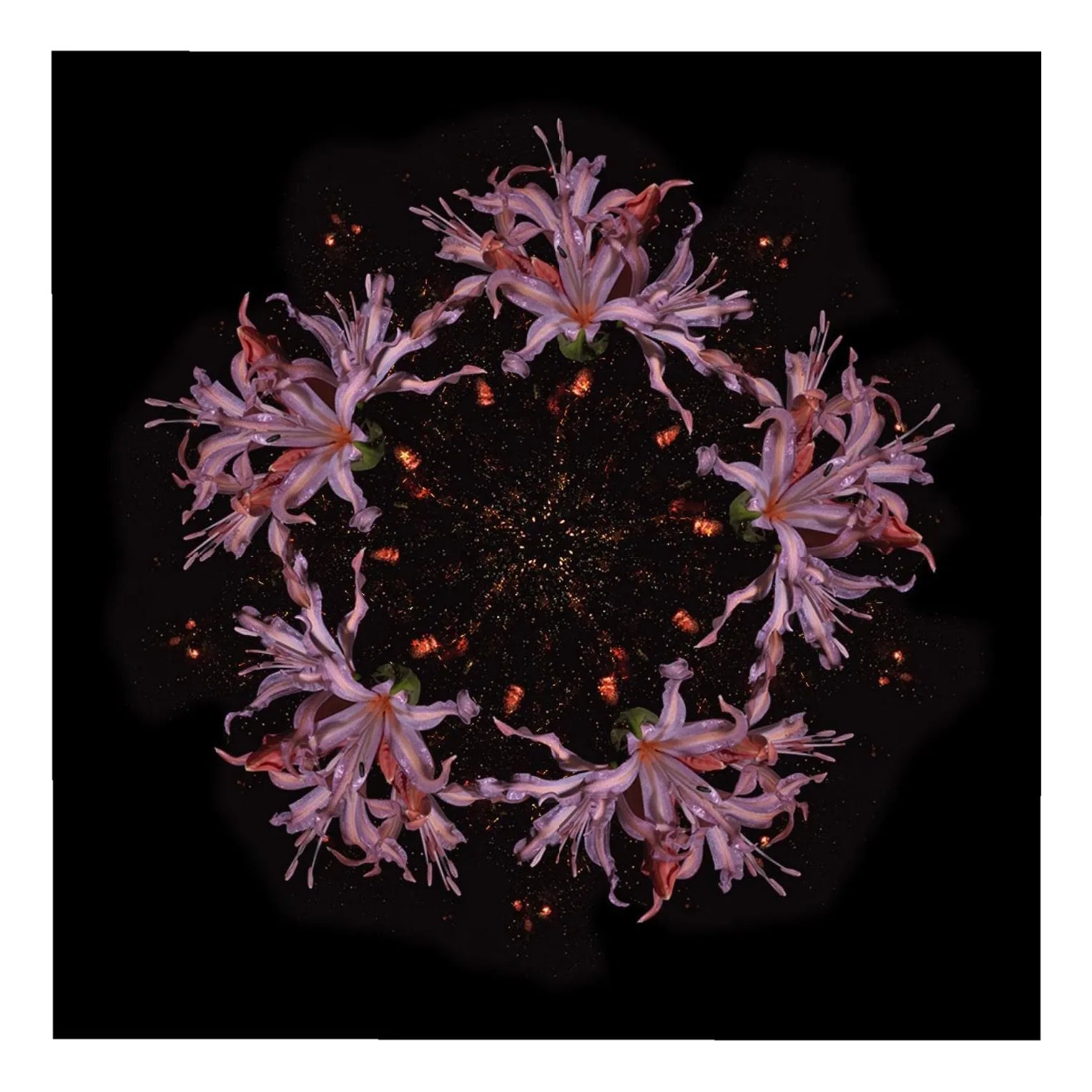 Lisa Creagh, F24, Digital Print, 2020s | Chairish