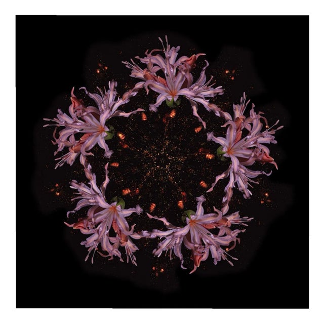 Lisa Creagh, F24, Digital Print, 2020s | Chairish