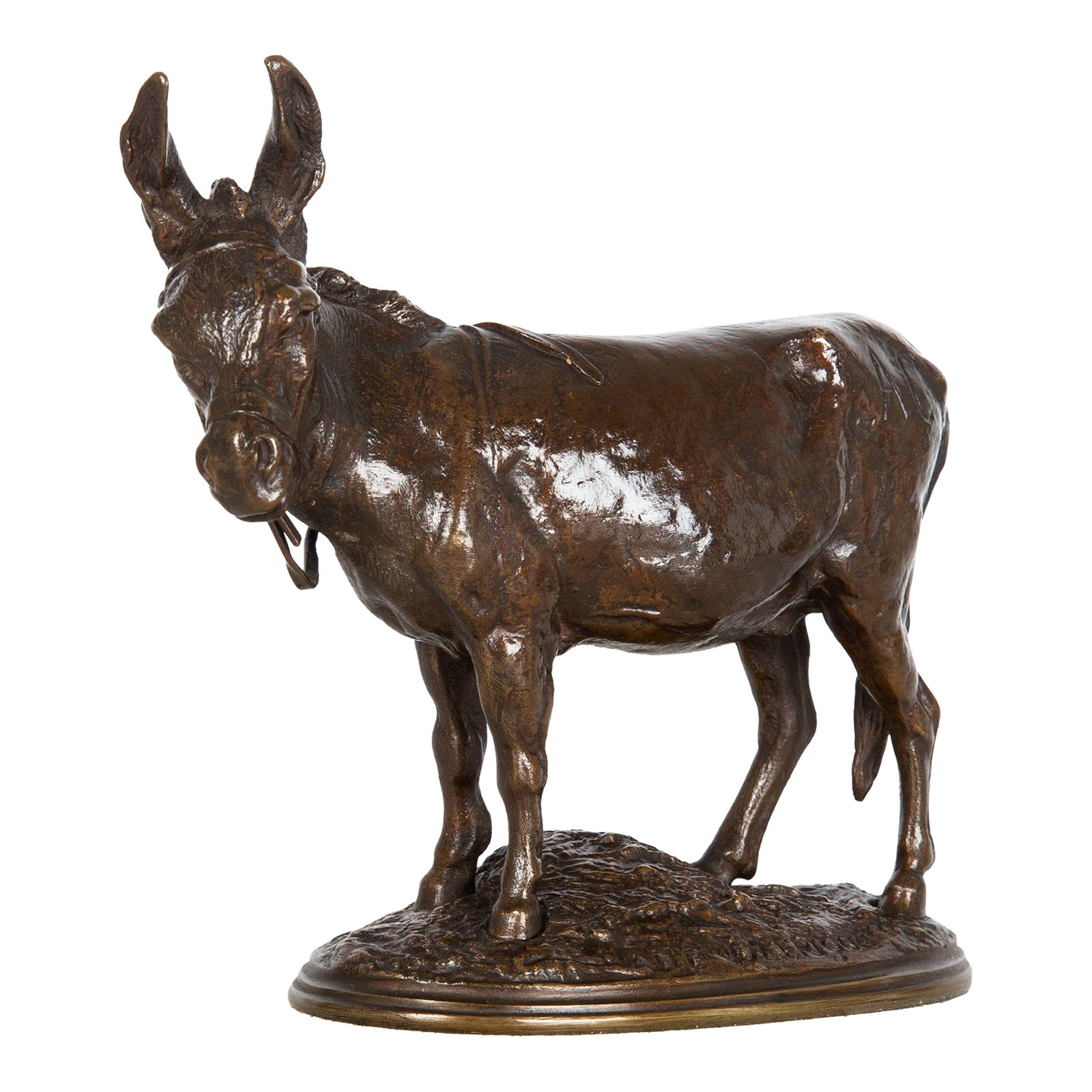 French Antique Bronze Sculpture of “African Donkey” by Auguste Cain ...