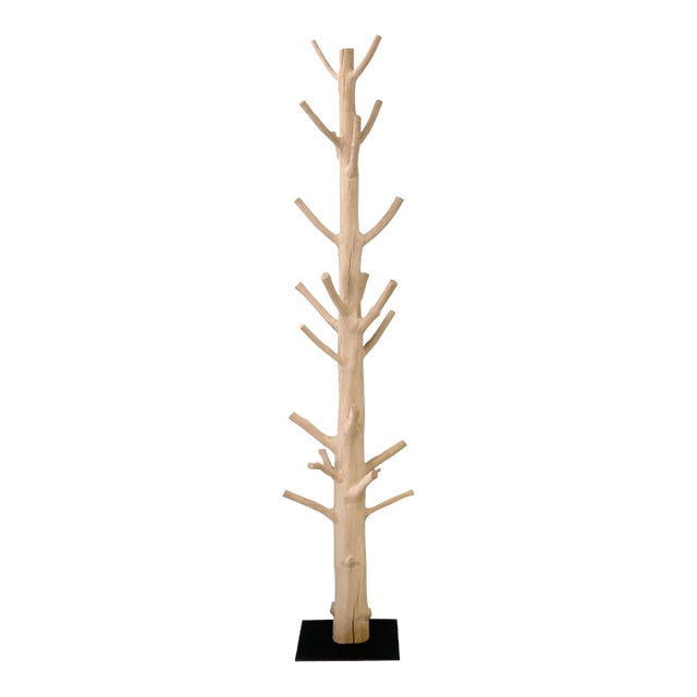 Contemporary Artissance Natural Wood Mangosteen Tree Floor Coat Rack ...