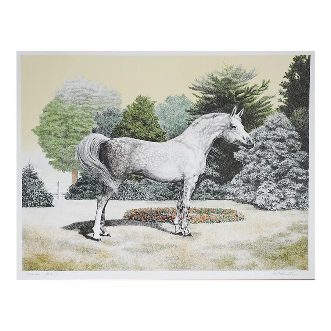 1974 Mel Hunter Arabian Horse Lithograph | Chairish
