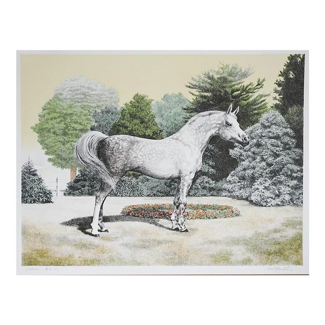 1974 Mel Hunter Arabian Horse Lithograph | Chairish