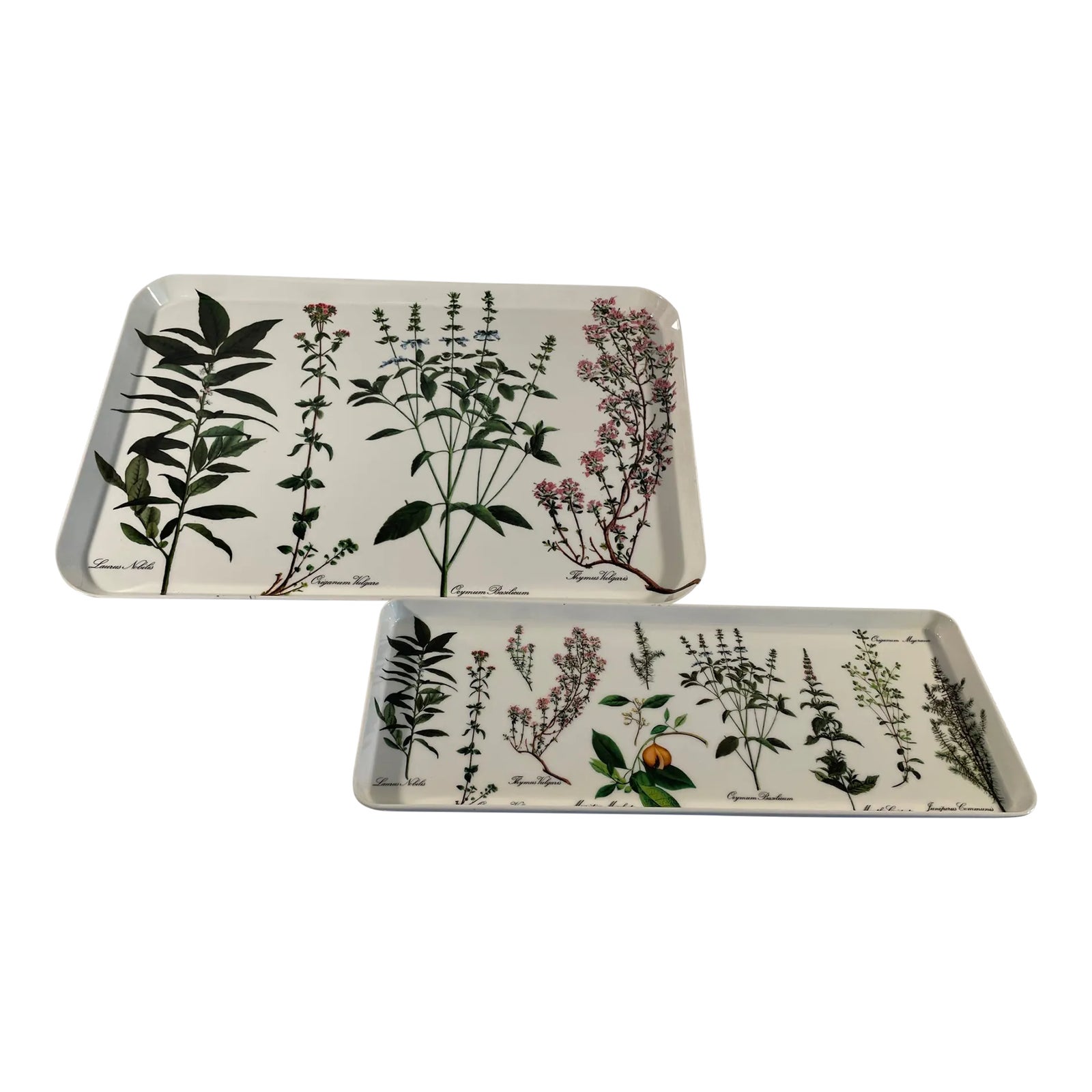 Vintage 1960s Decorative Italian Botanical Print Serving Trays - a Pair ...