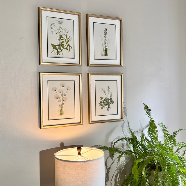 Framed Botanical Prints Set of 4- Authentic 1978 | Chairish